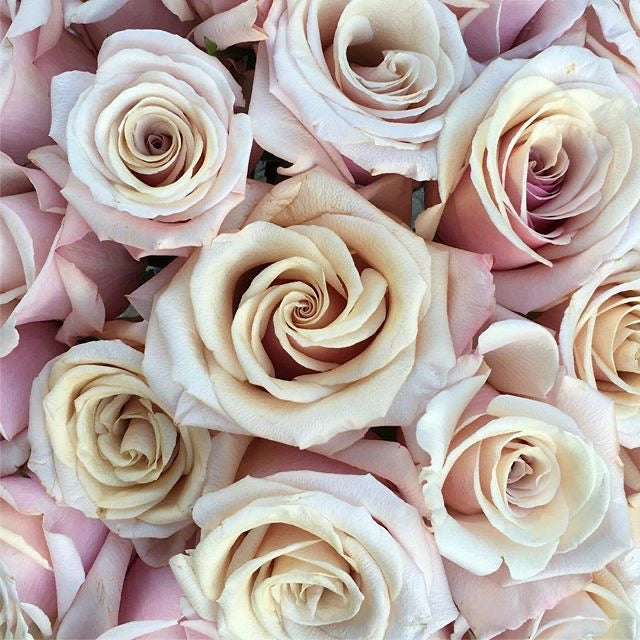 Erica Berry Flowers in Ilkley, West Yorkshire